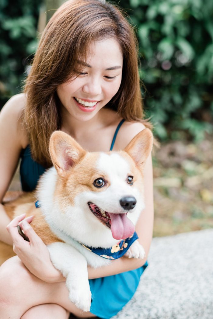 Pets - bitesizevisuals.com